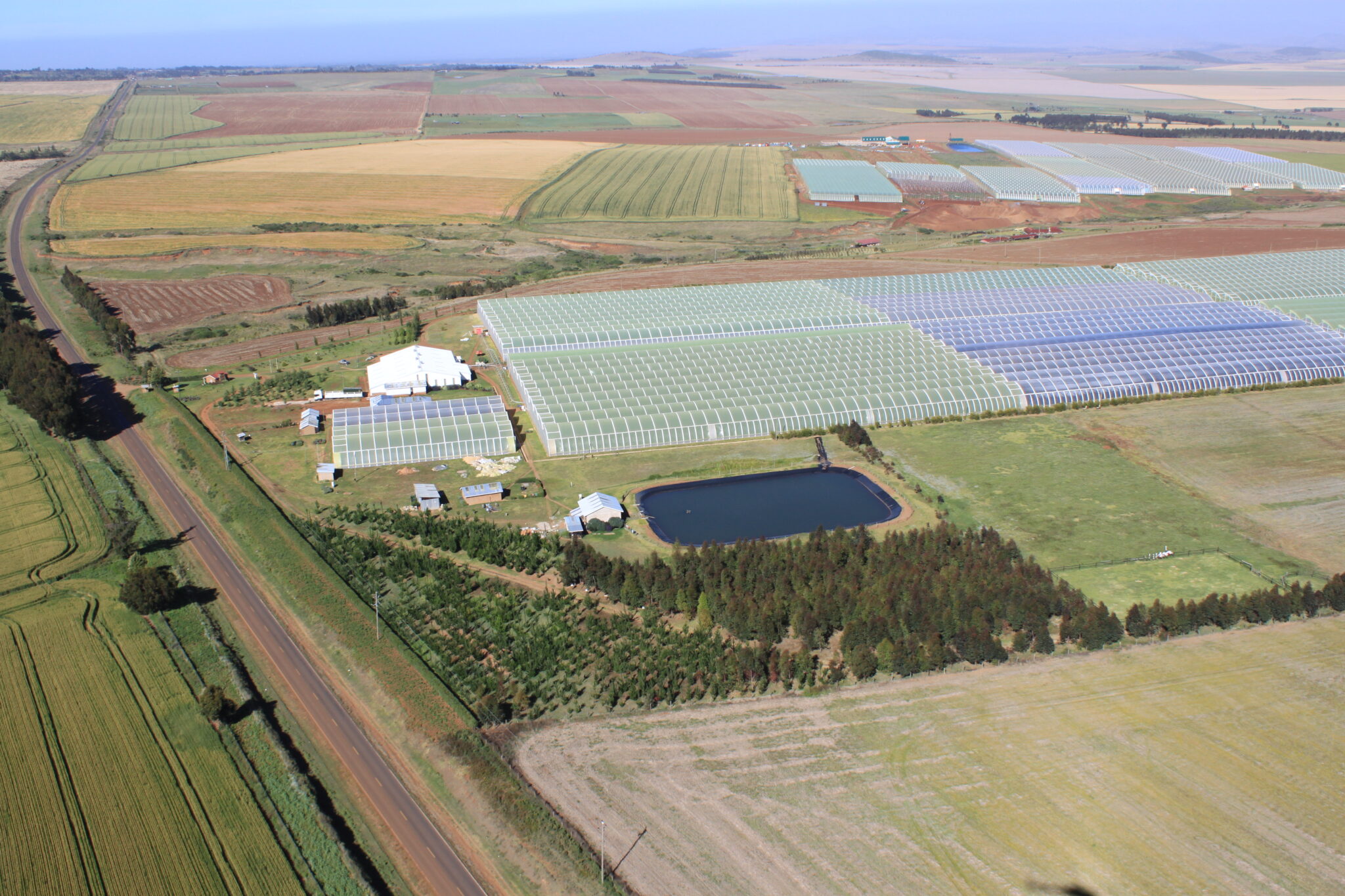 A CELEBRATION OF YEAR-ROUND ROSE GROWERS – Parfum Flower Company